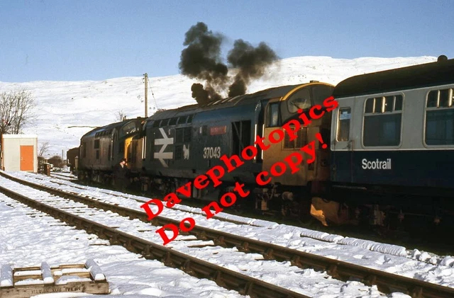 ORIGINAL 35MM Slide Diesel /Steam Train / Engine Railway 37043 (Loch ...