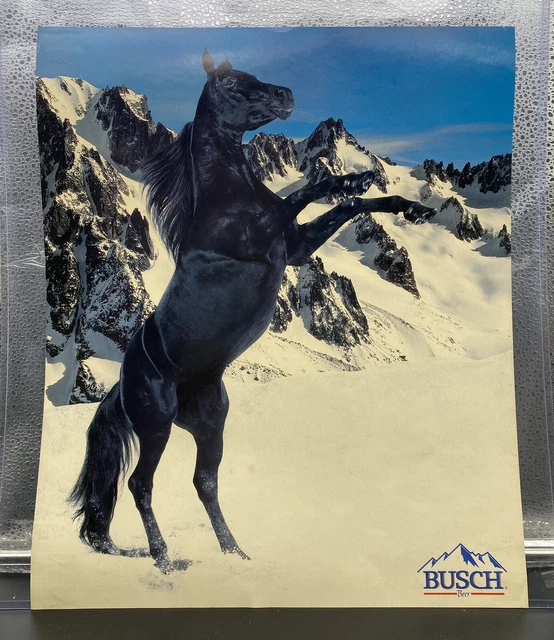 VINTAGE BUSCH BEER Poster Black Horse 14x17 $25.00 - PicClick