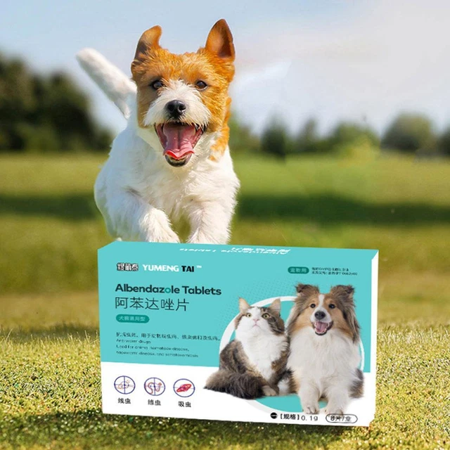 PET WORMING TABLETS For Dogs CatsInternal Deworming UK - £1.85 ...