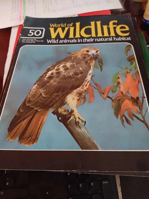 WORLD OF WILDLIFE Magazine Issue 50 - 1972 - Red Tailed Hawk - Good ...