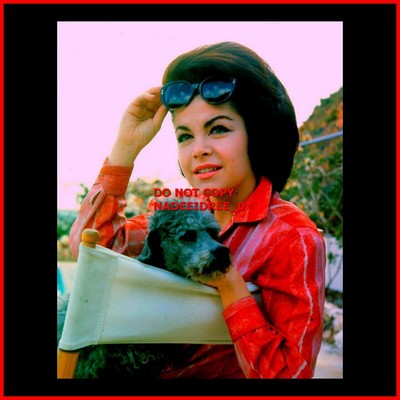 ANNETTE FUNICELLO ITALIAN American Actress And Singer Sexy Hot Pin Up ...