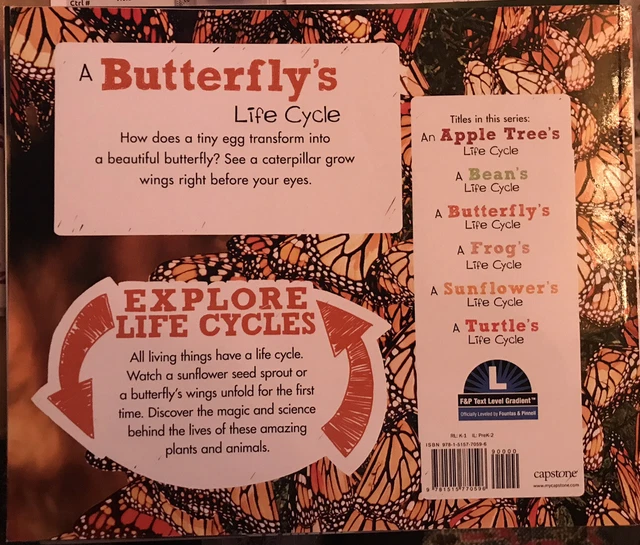 EXPLORE LIFE CYCLES Ser.: A Butterfly's Life Cycle by Mary R. Dunn ...