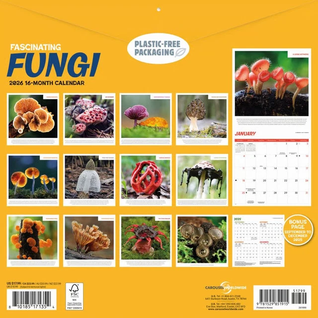 CAROUSEL CALENDARS, Fascinating Fungi 2026 Wall Calendar, 12'' X 12 ...
