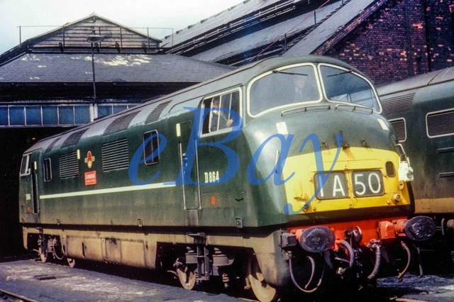 UK RAILWAY PHOTOGRAPH Of Warship D864. Rm43W-35 £1.70 - PicClick UK