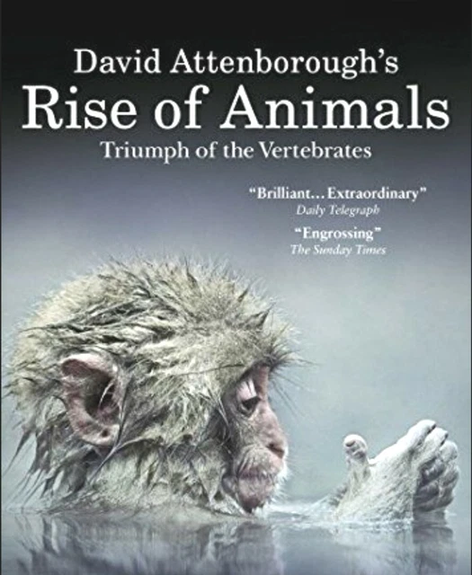 DAVID ATTENBOROUGH'S RISE of Animals Triumph of the Vertebrates DVD ...