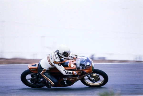 WALTER VILLA HARLEY Davidson Motorcycle Racing 1977 Old Photo 8 $10.00 ...