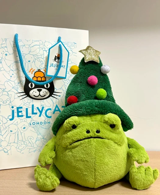 JELLYCAT RICKY RAIN Frog 20cm Collectible Christmas Gift New w/Tags ...