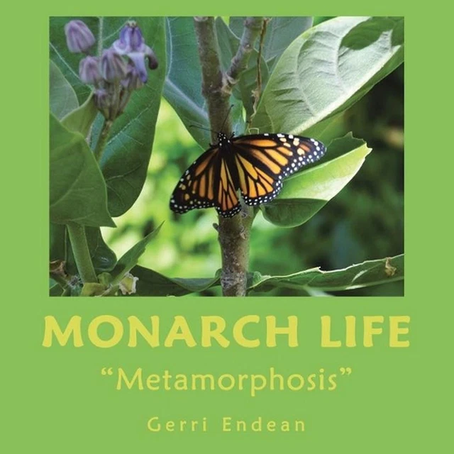 MONARCH LIFE: &METAMORPHOSIS& par Gerri Endean (anglais) livre de poche ...