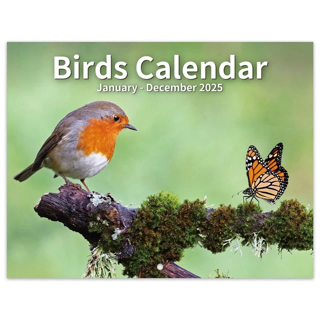 2025 CALENDAR - Birds 2025 UK from Jan. 2025 to Dec. 2025, Wall M £8.16 ...