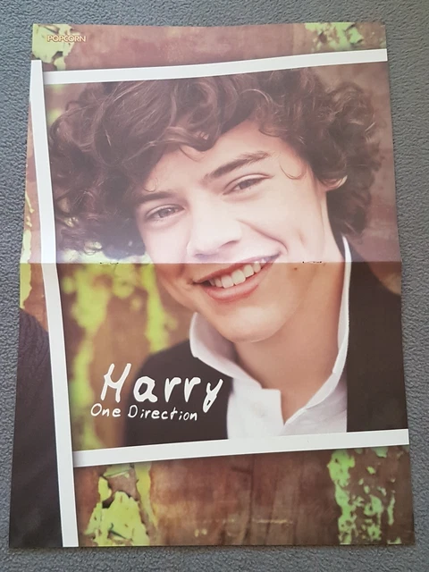 RARE HARRY STYLES (One Direction)/My Chemical Romance full double paged ...