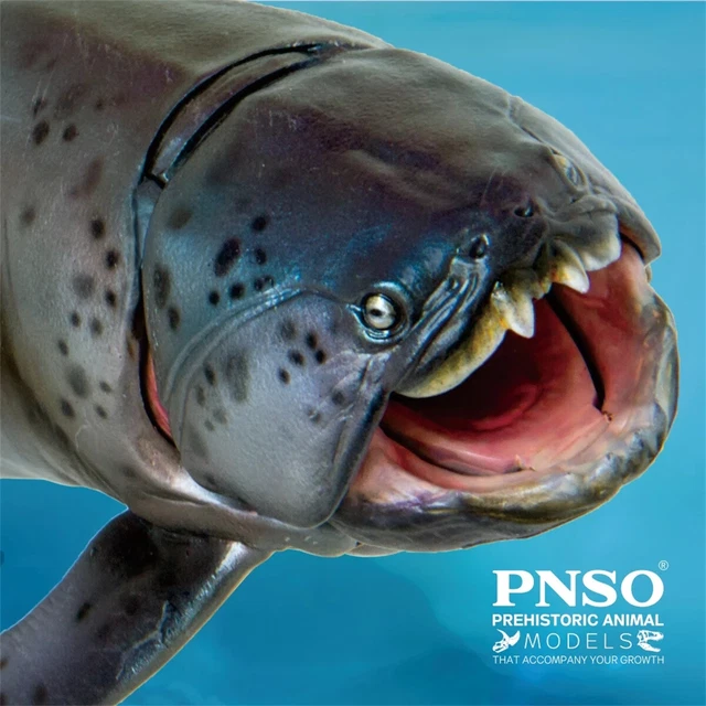 PNSO DUNKLEOSTEUS ZAHA Model Prehistoric Dinosaur Figure Animal ...