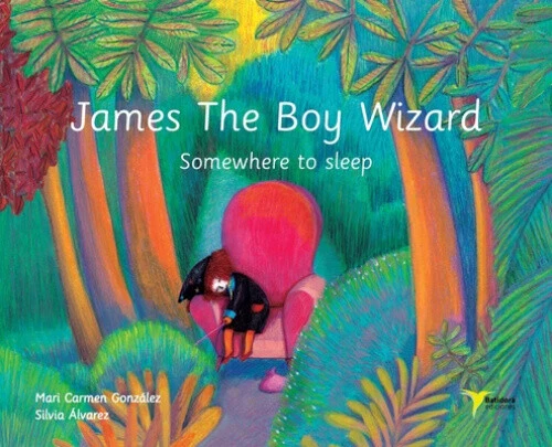 JAMES THE BOY Wizard: Somewhere to sleep by Mari Carmen Gonzalez $68.34 ...