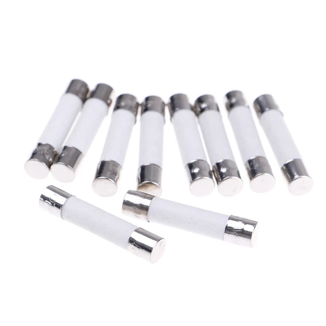 10 PCS MICROWAVE Ceramic Fuse Electric 20A 250V Home Supplies Diy ...