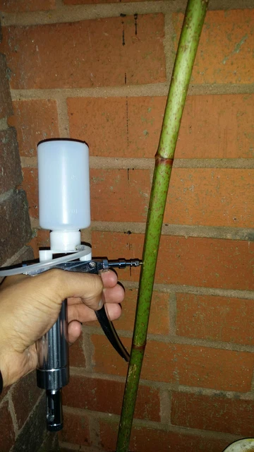 2024 JAPANESE KNOTWEED stem injector , Injection, with 14 needles £81. ...