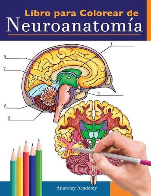 LIBRO PARA COLOREAR de neuroanatoma: Libro para colorear detallad?simo de cerebr EUR 24,34 ...