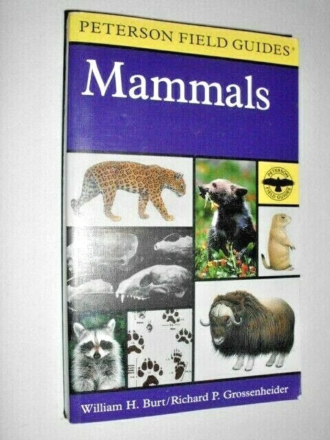 A FIELD GUIDE TO THE MAMMALS OF NORTH AMERICA (Peterson field guide ...