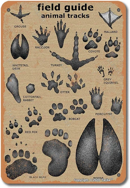 FIELD GUIDE ANIMAL Tracks Metal Vintage Look 8X12 Inch Decoration ...