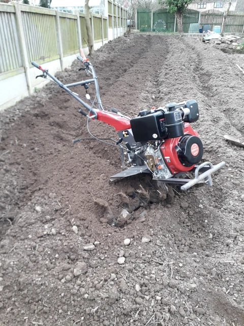 DIESEL TILLER - Rotavator TP1100BE-6 - 9HP Rotavator Two Wheeled ...