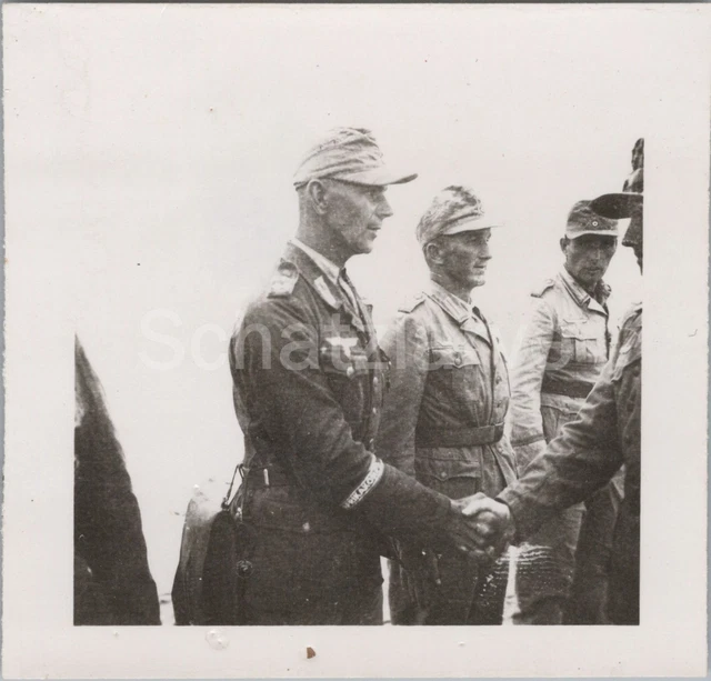 FOTO PANZER GR. Afrika (DAK) Begrüßung vor el-Alamein, Ägypten (MJ-41 ...