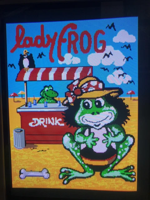 LADY FROG BOOTLEG ! jamma pcb EUR 39,99 - PicClick FR