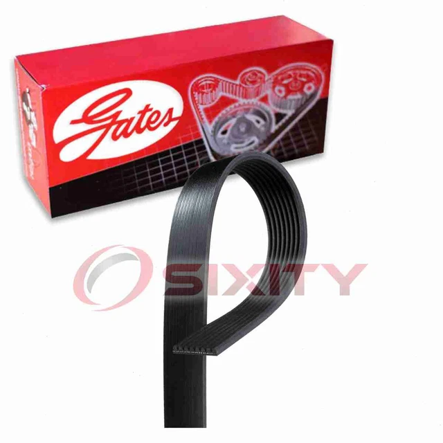 GATES MICRO-V WATER Pump Power Steering Supercharger Serpentine Belt ...