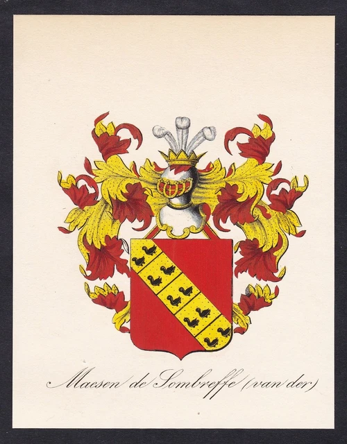 MAESEN DE SOMBREFFE Van Der Armoiries Blason Coat Of Arms Wapen Gravure ...