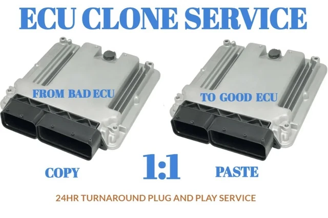 HOLDEN COMMODORE 6.0 V8 6AT ECU Clone Service Programmazione ECU EUR ...