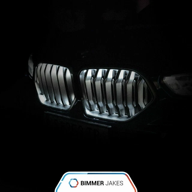 Bmw Iconic Glow Kidney Grille