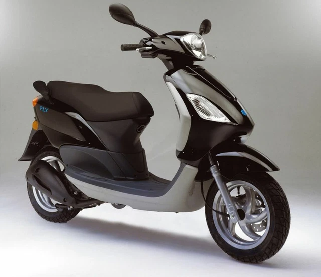 WERKSTATTHANDBUCH PIAGGIO FLY 50 4T 4 Takt Motor Reparaturanleitung Auf ...