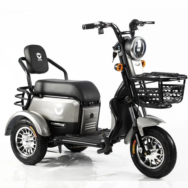 WAGNER MOBILITY S1000 ETrike ElektroRoller E-Mobil 3-Rad 6 km/h ...