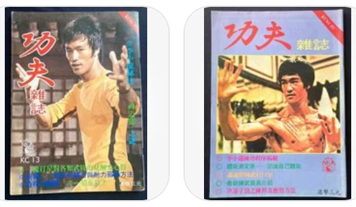 2 X V Rare Bruce Lee Chinese Magazines Jeet Kune Do Vintage Kung Fu ...
