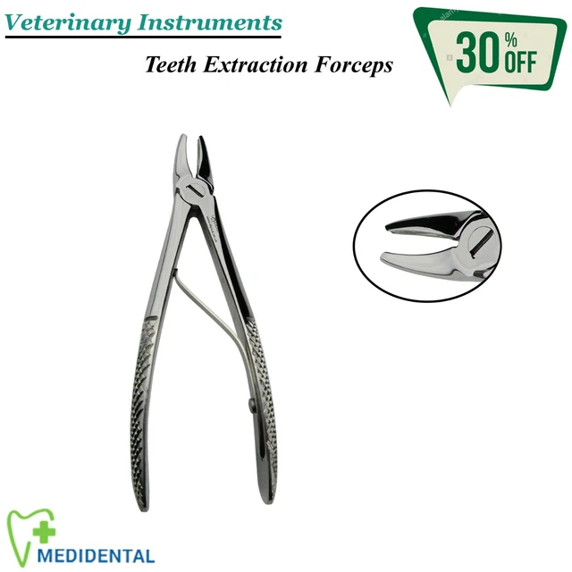 VETERINARY INSTRUMENTS RABBIT / Rodent Teeth Extracting Forceps For ...