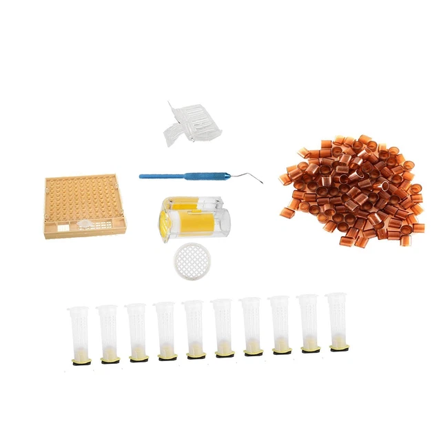 QUEEN BEE REARING Kit Beekeeper Grafting Tool Queen Rearing Box for ...