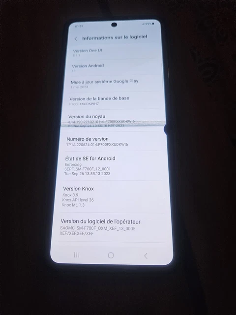 SAMSUNG GALAXY Z Flip Bespoke Edition SM-F700F - 256 Go - Noir/Noir ...