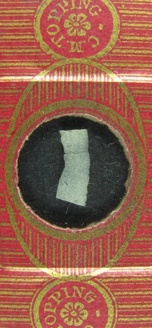 ANTIQUE MICROSCOPE SLIDE by C.M.Topping. "Transverse section of Human ...
