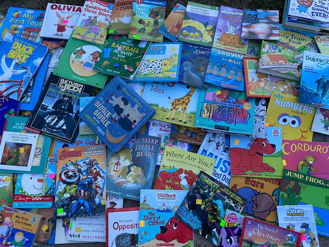 80 CHILDREN'S book Lot Wonderful Ass Mercer Mayer Disney Sesame ...