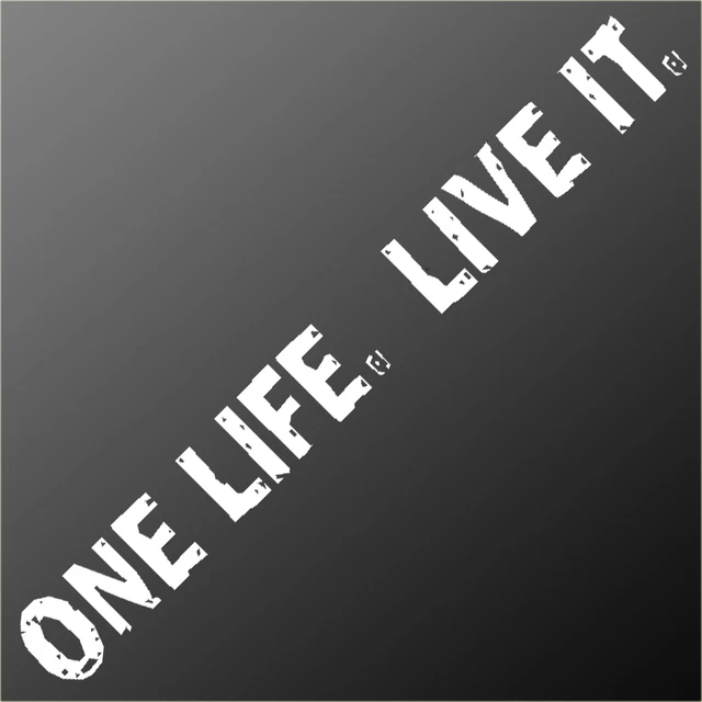HUGE CAMEL TROPHY ONE LIFE. LIVE IT. Decal, Stickers, 4X4, £9.99 ...
