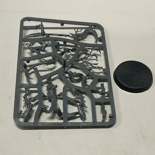 SYLVANETH BRANCHWYCH, NEW on sprue, Warhammer Age of Sigmar Games ...