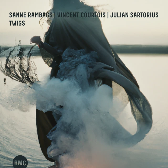 SANNE RAMBAGS, VINCENT Courtois & Julian Sartorius Twigs (CD) Album EUR ...