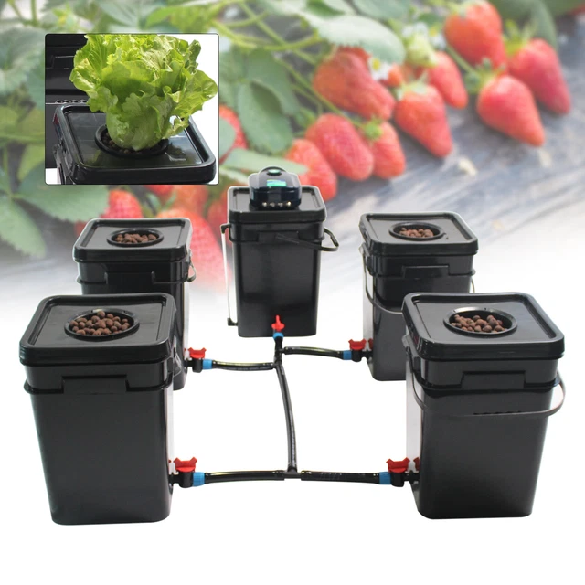 AGRICULTURE DWC SYSTEM Vegetable/Plant Growing Hydroponic System Kit w ...
