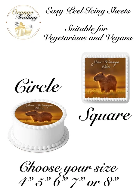 PERSONALISED CUTE CAPYBARA Cake Topper Edible Icing Circle/Square 4" 5 ...