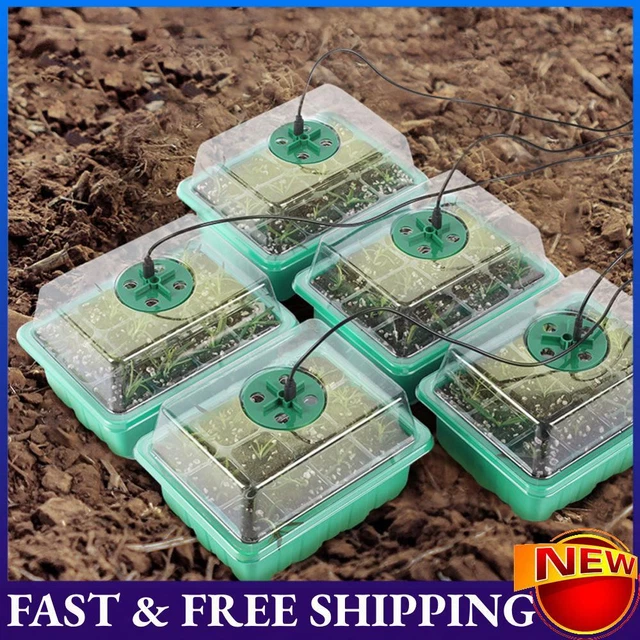 GERMINATION BOX PERFORATED Plastic Seed Grow Planter Box for Greenhouse ...