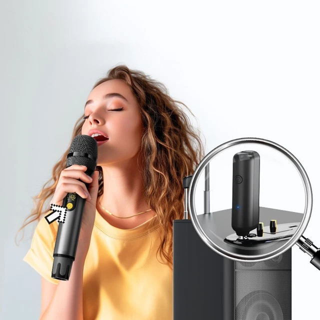 MICROPHONE SANS FIL double canal facile à utiliser pour performances ...