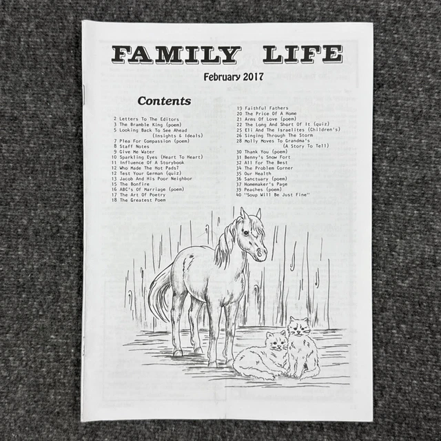 FAMILY LIFE AMISH Magazine 2017 Full Year Plain Living Homemaker ...
