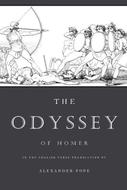 THE ODYSSEY: THE Verse Translation by Alexander Pope (Illustrated) £20. ...