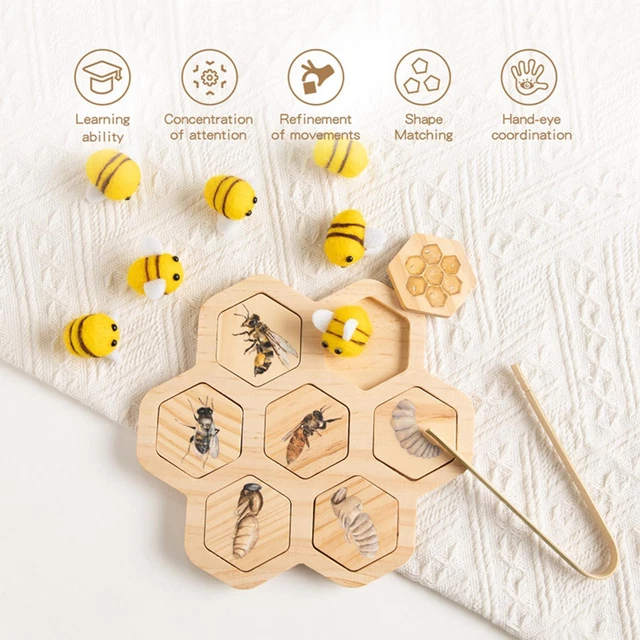LIFE CYCLE TRAY Montessori Toys Bee Sorting Matching Toy £8.77 ...