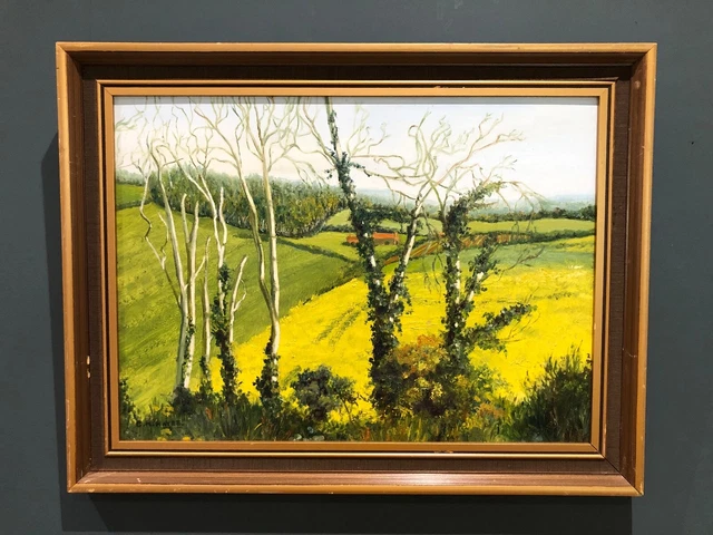 VINTAGE FRAMED COUNTRY Landscape Oil Painting, Signed C M Hayes 1984 £ ...