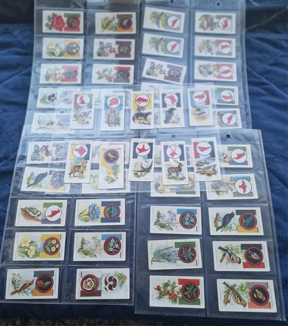 JOHN PLAYER & Sons Cigarette Cards Boy Scouts & Girl Guides 49 Some ...