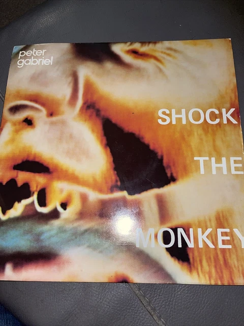 PETER GABRIEL - Shock The Monkey/ Soft Dog Charisma SHOCK 12 1982 12 ...