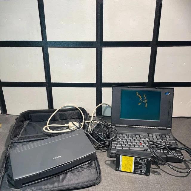 VINTAGE IBM COMPUTER samt Zubehör und Vintage Drucker EUR 80,00 ...